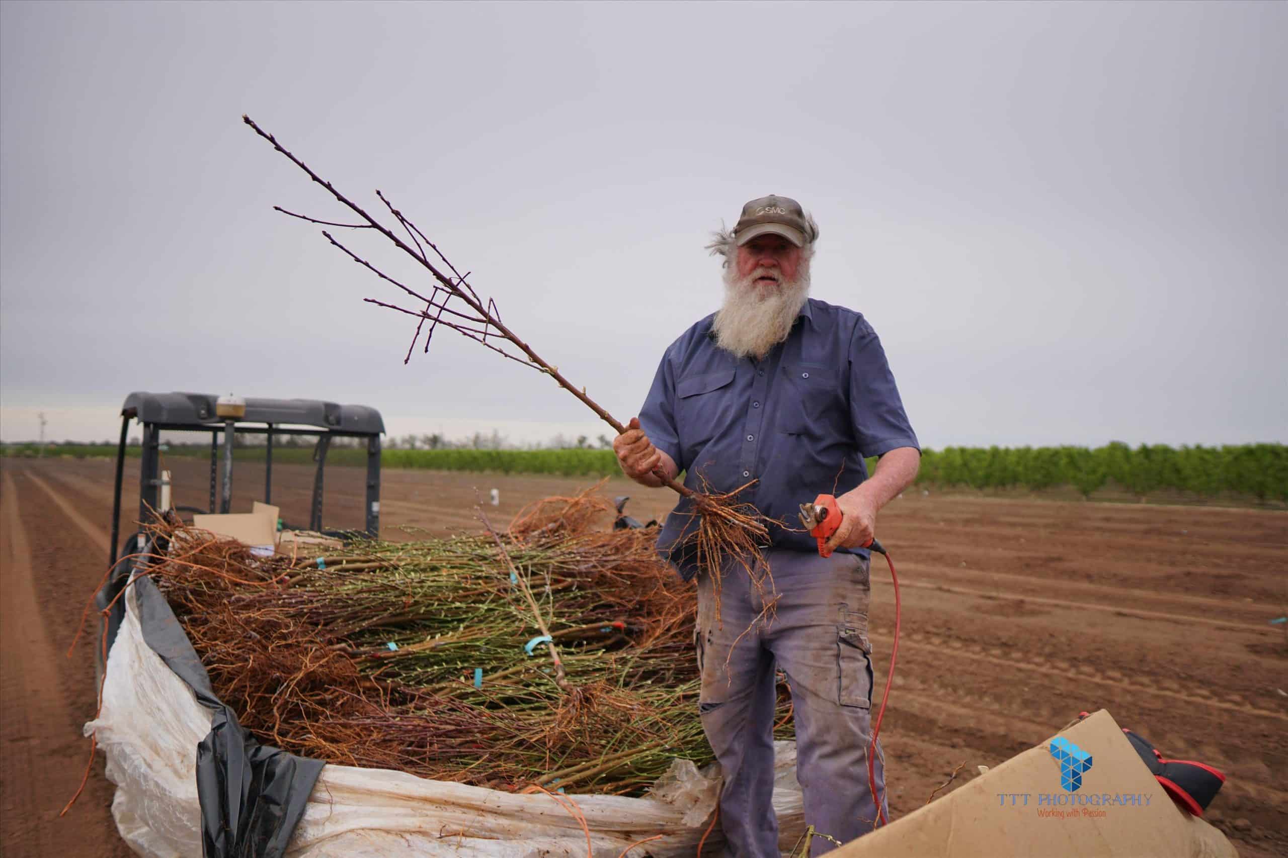 Our Story | SHARP Fruit