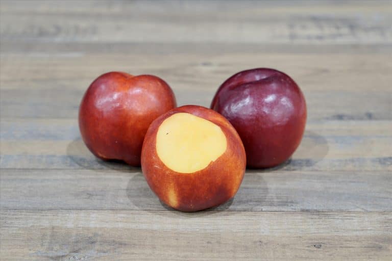 Honey Spring | SHARP Fruit