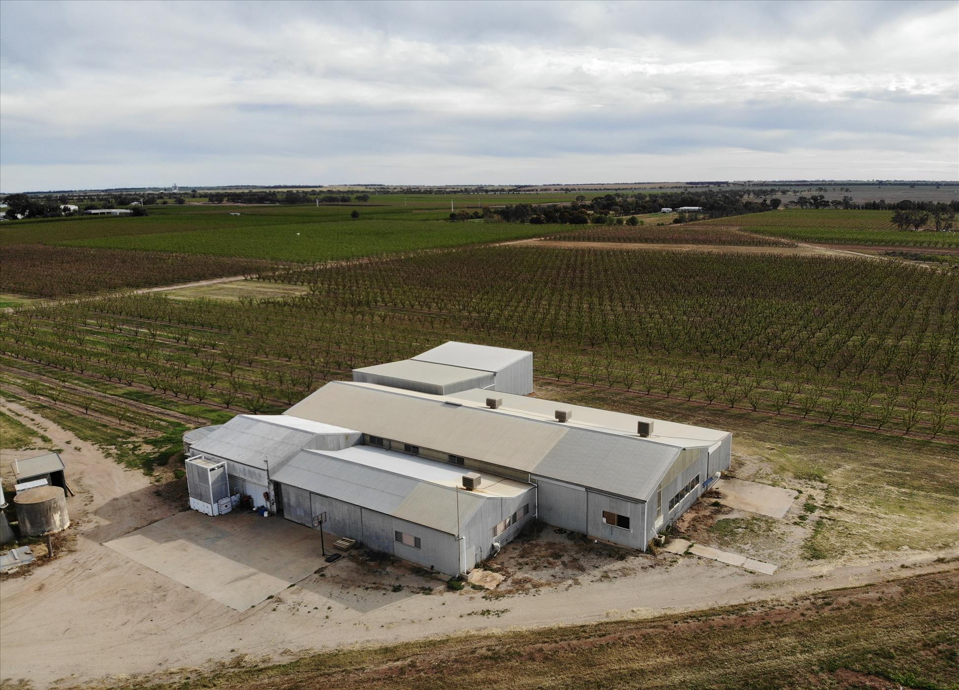 Our Story | SHARP Fruit